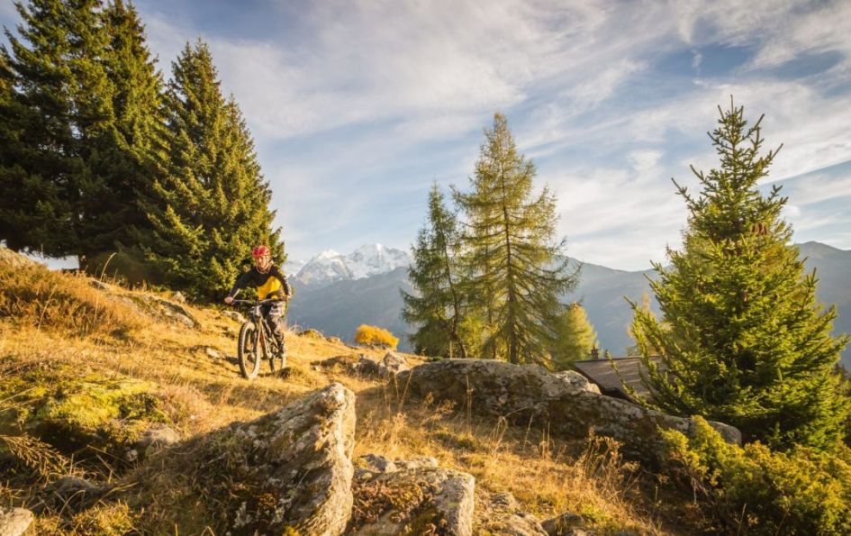 Mountain Biking in Verbier. Singletrail Verbier talk Verbier Biking ...