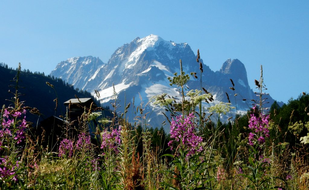 Best Mountain Resorts for your French Alps Summer Holidays