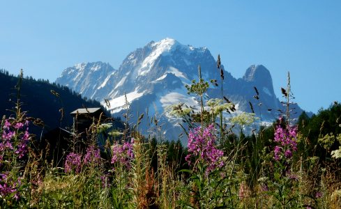Best Mountain Resorts for your French Alps Summer Holidays
