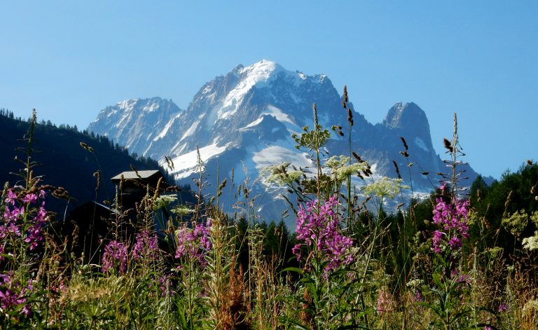 Best Mountain Resorts for your French Alps Summer Holidays